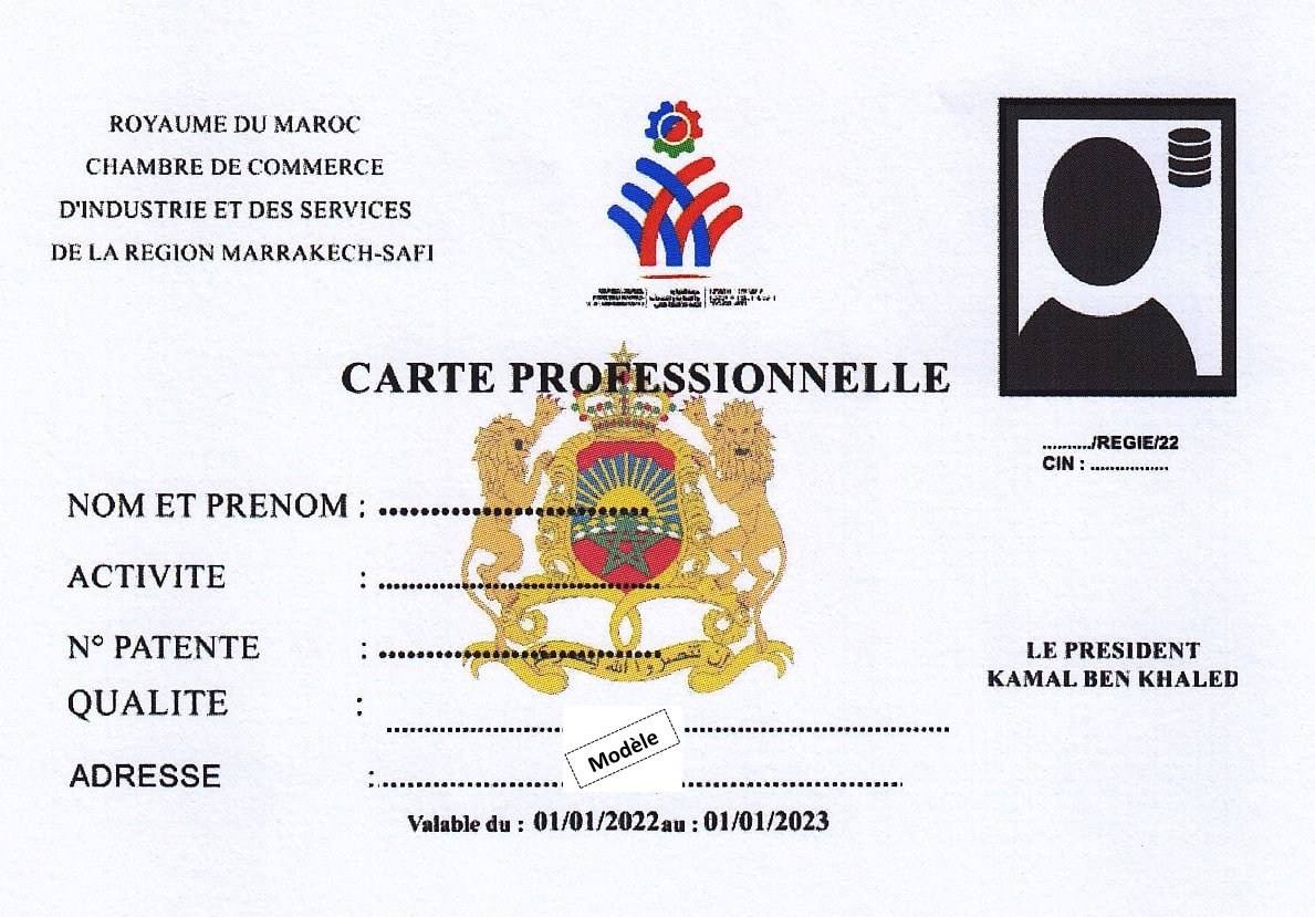 Carte Professionnelle - Chambre de Commerce d'Industrie et de services ...